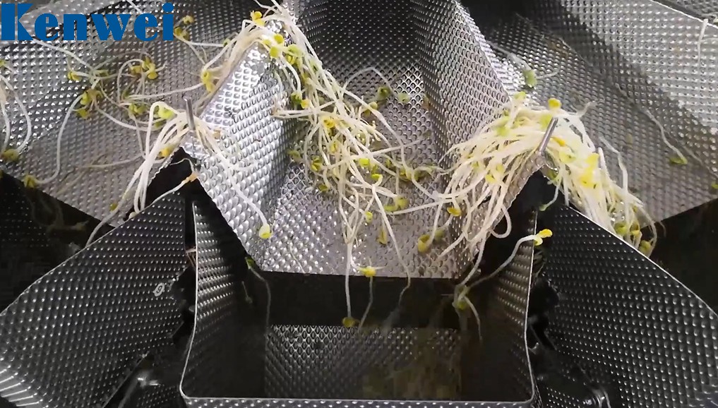 Bean Sprouts Vertical Weighing And Packaging System | Kenwei