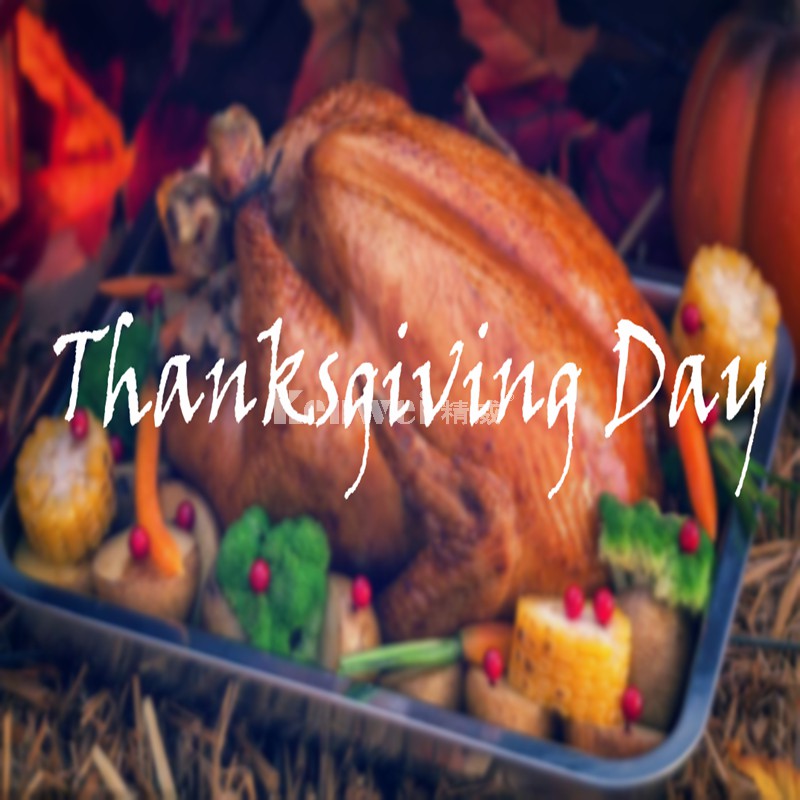 What Are Key Manufacturers for Multi Head Scale? - Kenwei