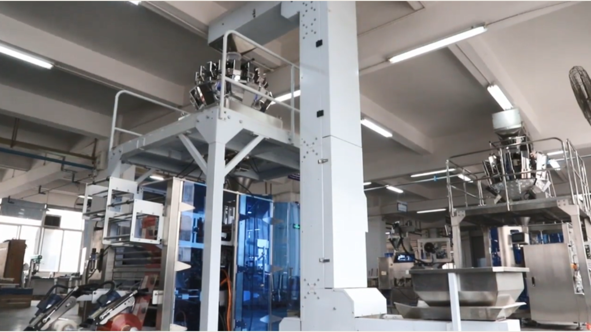 Twin Vertical Packaging Machines with Multihead Weigher for Automated ...