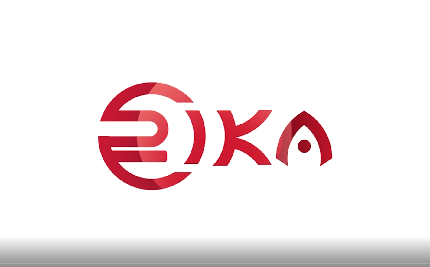 Fabricante de vídeos OEM | Sensor Rika