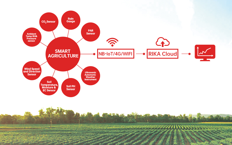 Revolutionizing Agriculture: the Role of Agricultural Sensors | Rika ...