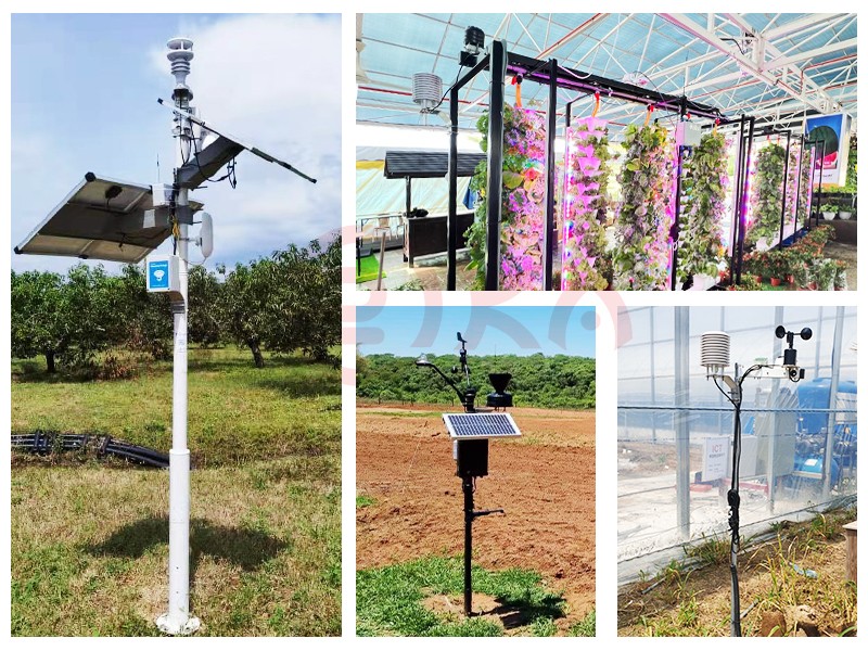 Optimizing Agriculture with Smart Farm Weather Stations | Rika Sensor
