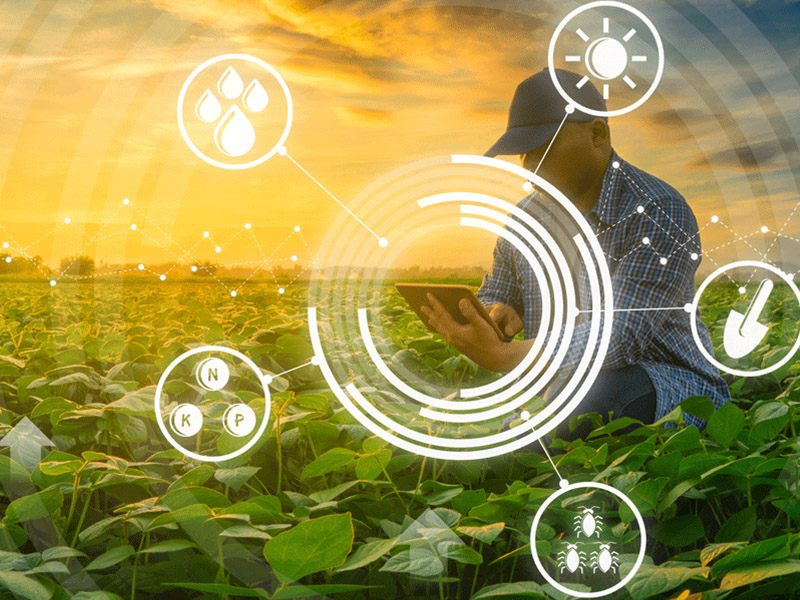 Smart Agriculture: the Future of Farming with Rika Sensors, Hunan Rika ...