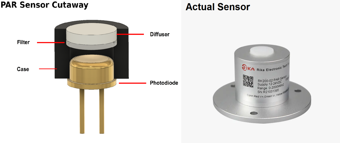 What Is PAR Sensor and Its Uses? | Rika Sensor