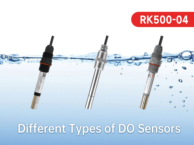 What Are the Different Types of Water Dissolved Oxygen Sensors? | Rika ...