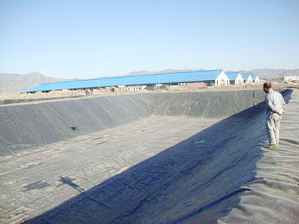 What Properties Are Needed in Inflatable Toys Pvc Film Raw Materials?