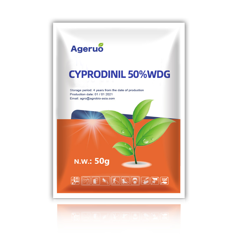 Cyprodinil Fungicide | POMAIS