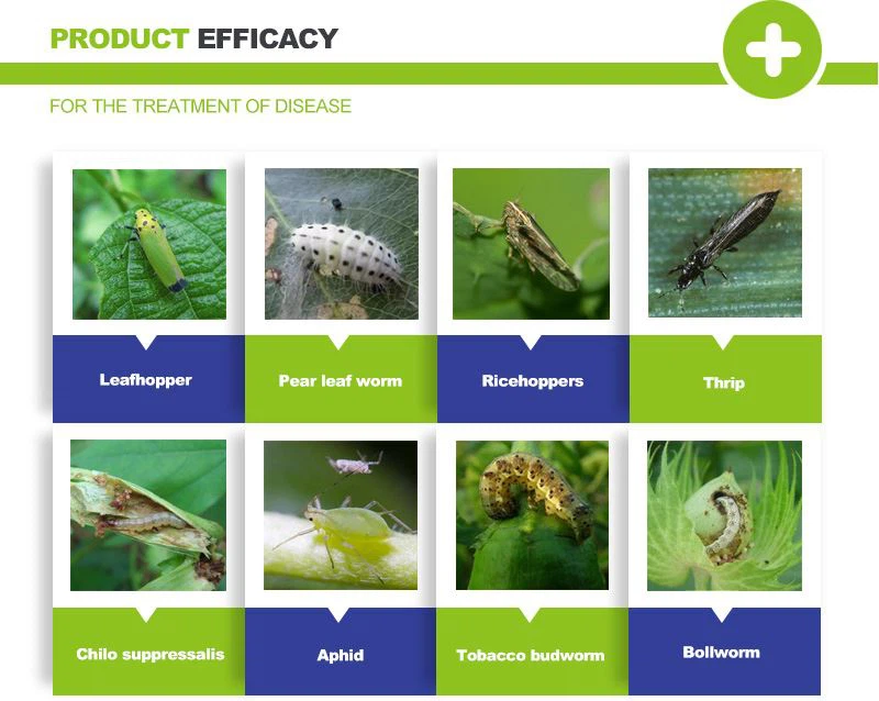 Dimetoato 30% CE – Insecticida de contacto sistémico para control de ...