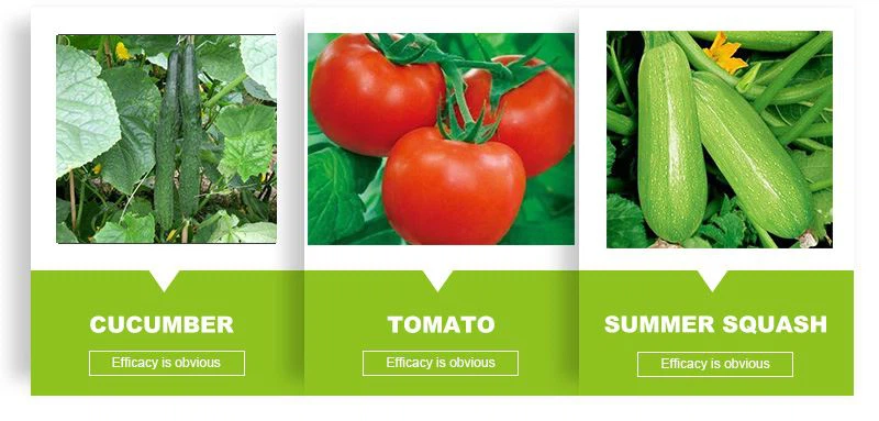 ¿Cuáles son las funciones del etefón? - Noticias - Shijiazhuang Ageruo ...