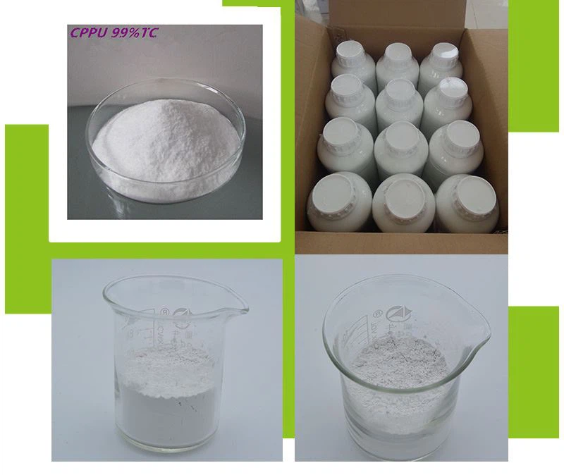 Do You Know the Function of CPPU? - Knowledge - Shijiazhuang Ageruo ...