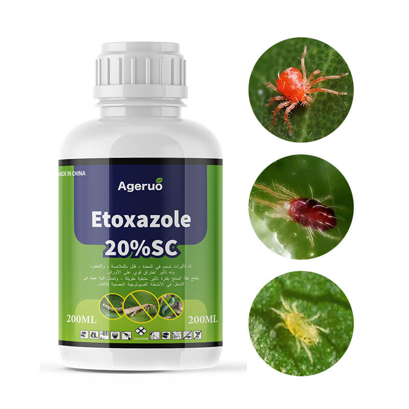 Etoxazole Insecticide | High-Performance Acaricide for Effective Mite ...