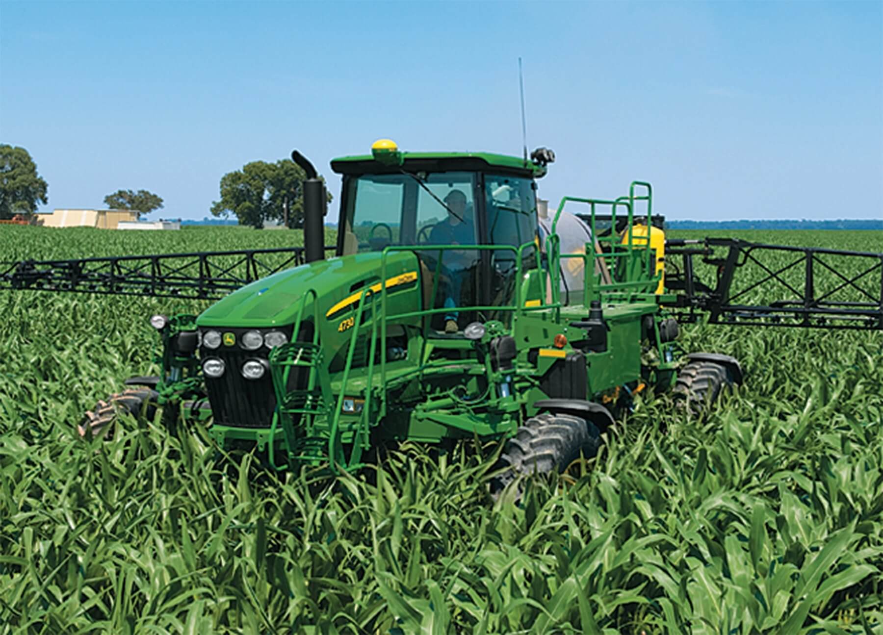 When to Spray Corn for Weeds: Timing Windows and Cutoffs