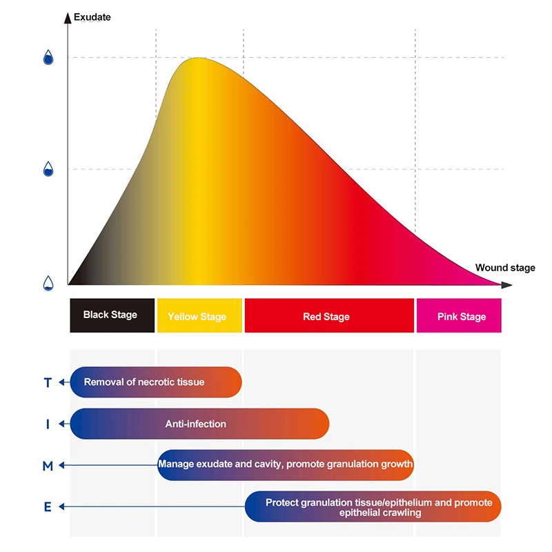 Ultimate Guide to Wound Care Staging and Wound Dressing Selection