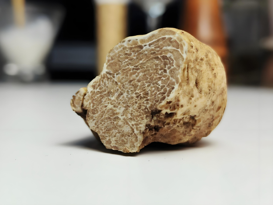 Rare White Truffle for Anti-aging, Neutralizing Free Radicals, and ...