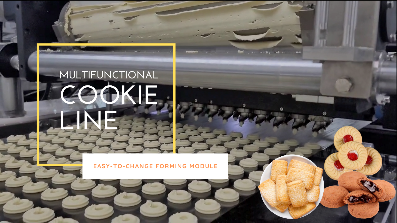 Multifunctional Dough Forming Machine Supplier Wire Cut Cookie Machine ...