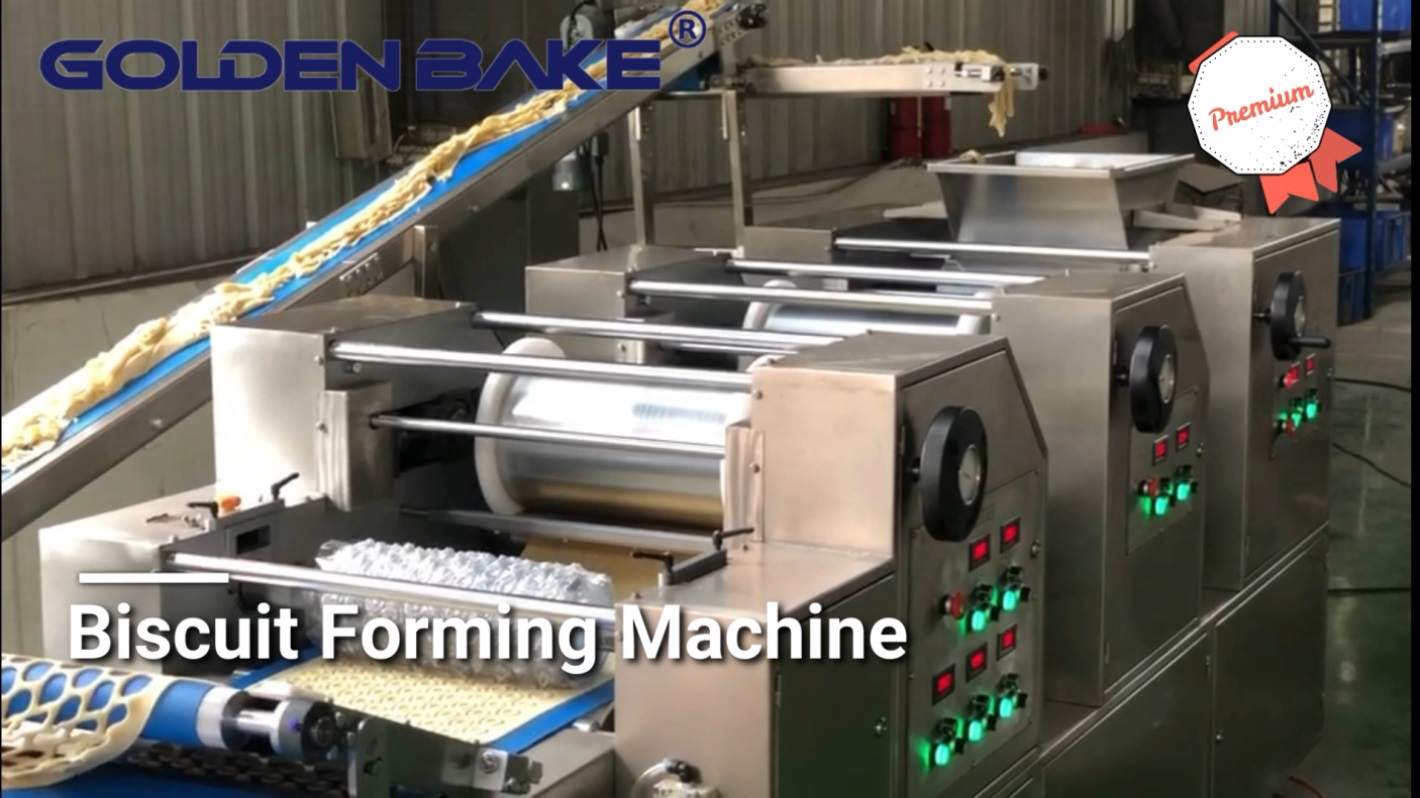 Small Scale Biscuit Manufacturing Unit Production Line | Golden Bake