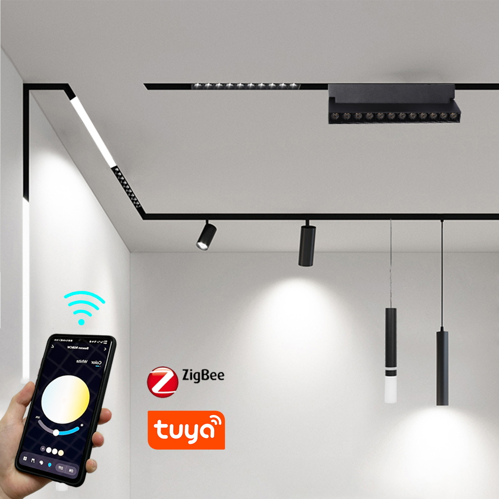 DC 48V Surface Mounted 4 Installation Methods White Led Cob Magnetic ...