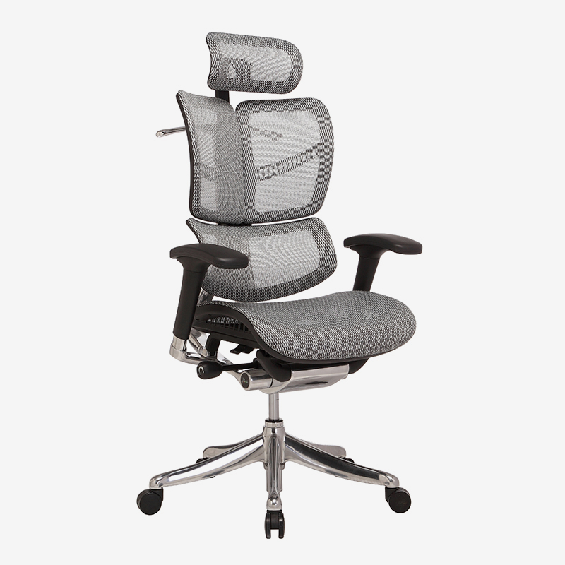 Hookay Luxury Ergonomic Executive Chair with Dynamic Back