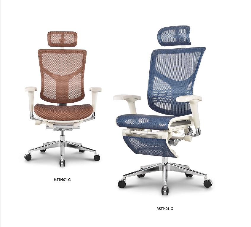 Sit Smart: Harnessing the Benefits of Proper Posture in Your Ergo Chair