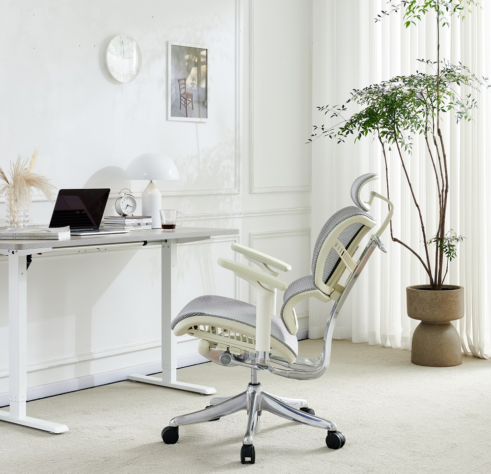 Guía de compra de la silla ejecutiva ergonómica: qué buscar en 2025