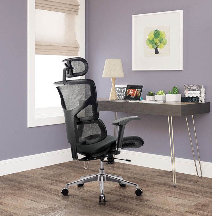 Sail Ergonomic Mesh Task Chair Top Ergonomic Office Chair Factory | Hookay