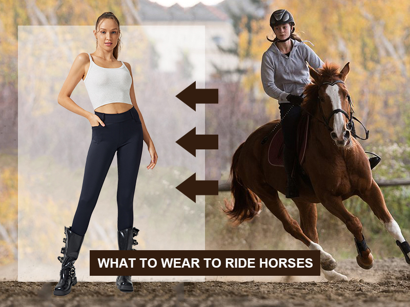 The Ultimate Guide: What To Wear To Ride Horses | Ingor Sportswear