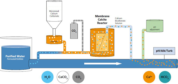 Desalinated and Purified Water Process Treatment