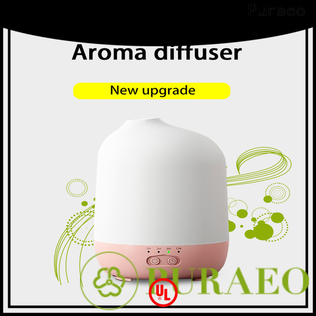New Mini Usb Diffuser Company | Puraeo