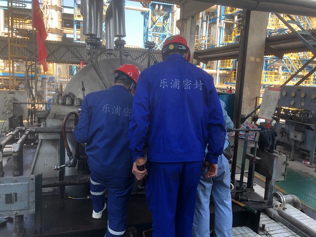 How to Operating and Maintenance the Dry Gas Seal | Lepu Seal