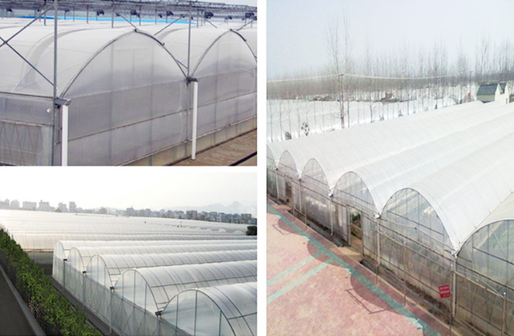 Prefab Greenhouse with Sandwich Panel & Steel Structure Lida Group