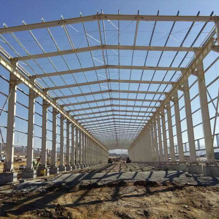 Prefabricated Horse Barns Design Steel Structure Buildings-Lida Group