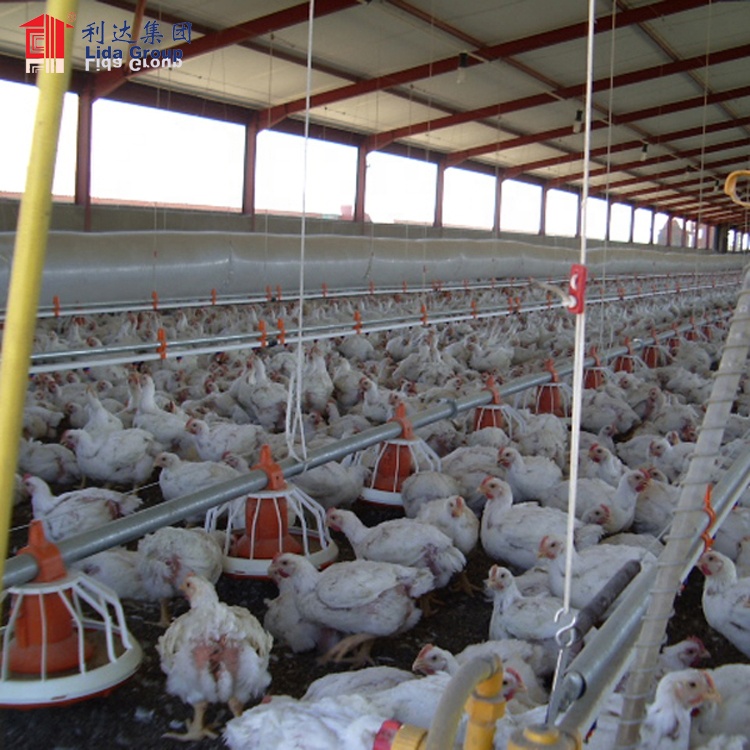 Prefab Poultry House, Poultry Warehouse, China Poultry House-Lida Group