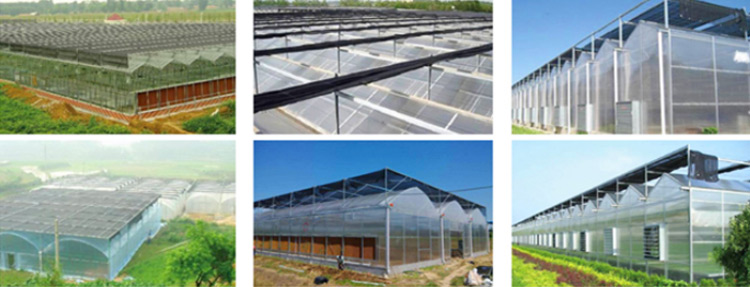 Prefab Greenhouse with Sandwich Panel & Steel Structure Lida Group