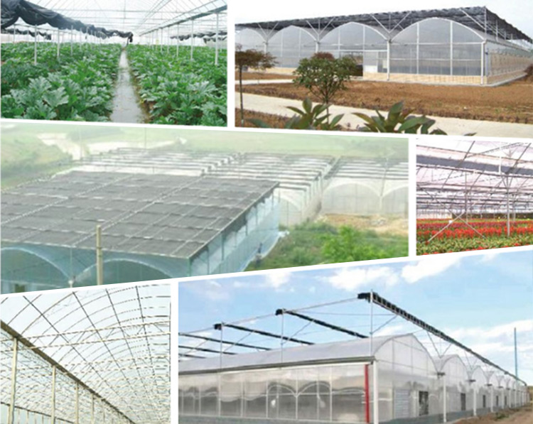 Prefab Greenhouse with Sandwich Panel & Steel Structure Lida Group