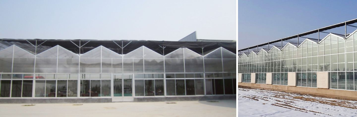 Prefab Greenhouse with Sandwich Panel & Steel Structure Lida Group
