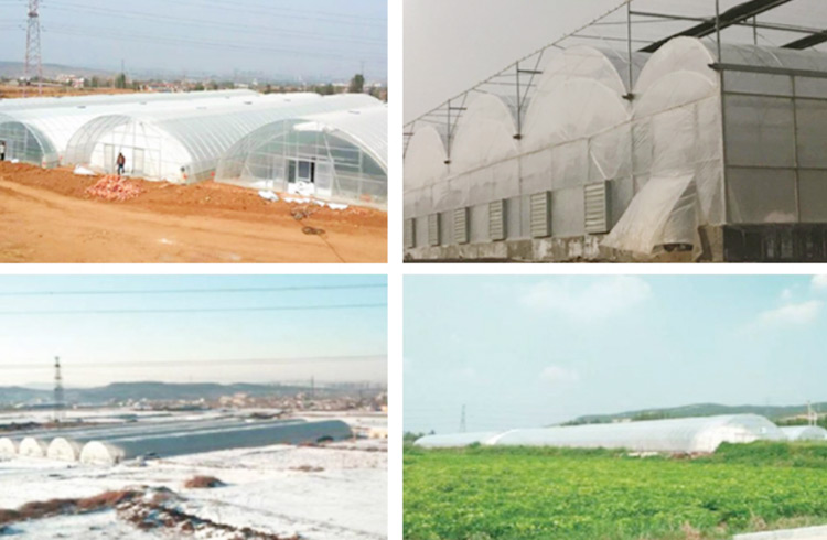 Prefab Greenhouse with Sandwich Panel & Steel Structure Lida Group