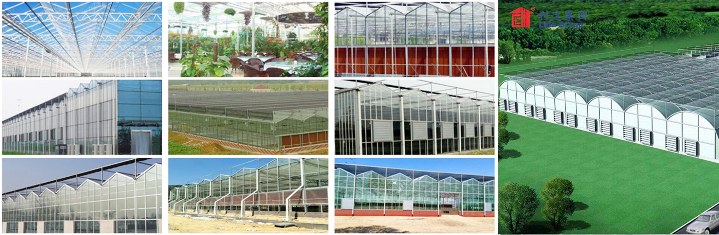 Prefab Greenhouse with Sandwich Panel & Steel Structure Lida Group