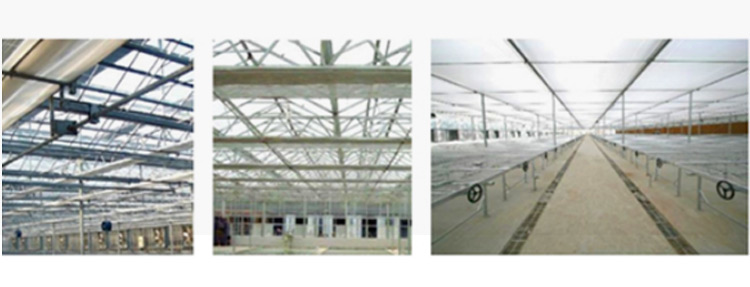Prefab Greenhouse with Sandwich Panel & Steel Structure Lida Group