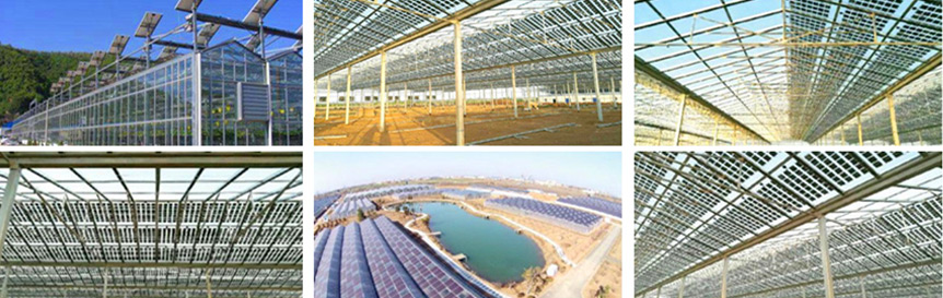 Prefab Greenhouse with Sandwich Panel & Steel Structure Lida Group