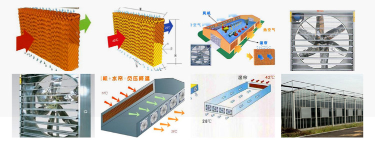 Prefab Greenhouse with Sandwich Panel & Steel Structure Lida Group