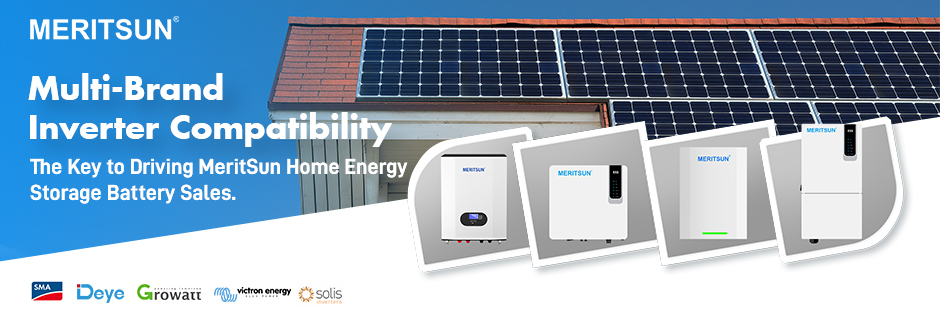 Multi-brand Inverter Compatibility: the Key to Driving Meritsun Home ...