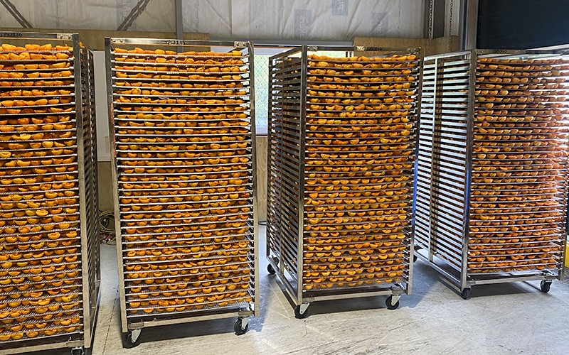 Commercial Drying Equipment for Fruits and Vegetables - IKE GROUP