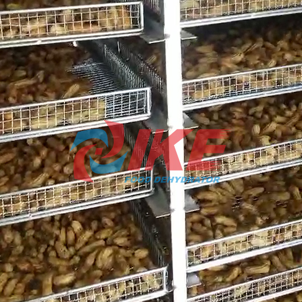 Peanut Drying Machine News About Grain Dryer Machine From IKE
