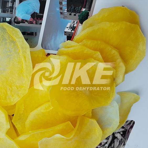 Potato Chip Drying Machine, Potato Chip Dehydrator, Equipment for ...