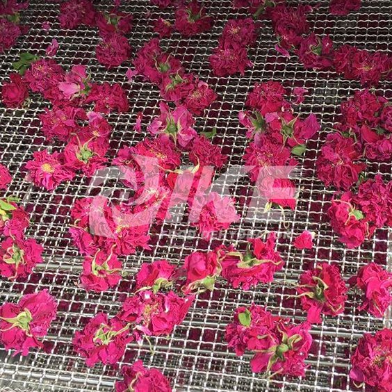 Flower Drying Machine, Hay Drying Machine, Freeze Dryer for Flowers