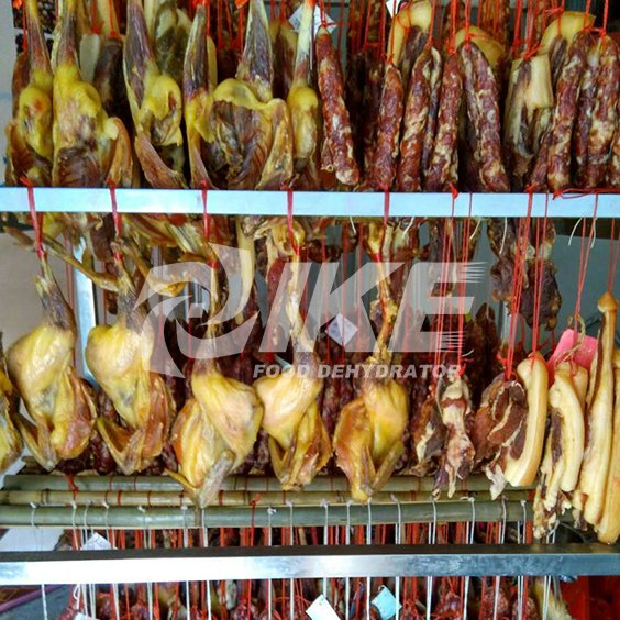 Best Duck Drying Machine | Good Meat Dehydrator From IKE