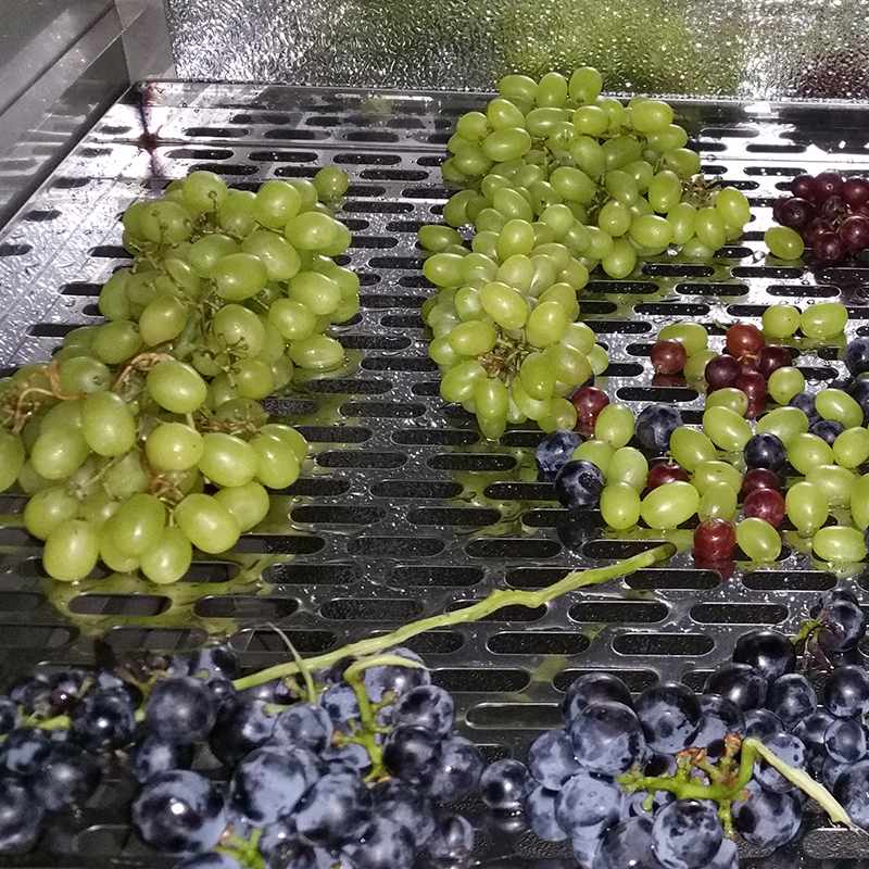 How to Dry Raisin | News on Ike Food Dehydrator