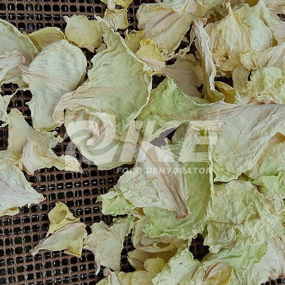Cabbage Drying Machine, Vegetable Dryer, Vegetable Dryer Machine Suppliers