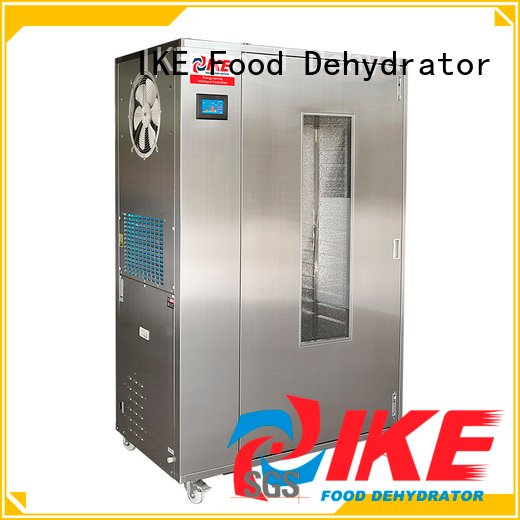 Wrh-100d Low Temperature Stainless Steel Flower Tea Dehydrator