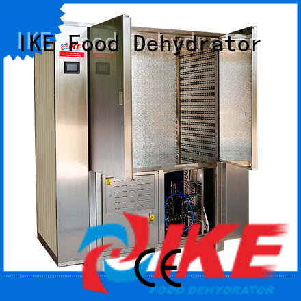 Dry Cabinet ,best Dehydrator for Beef Jerky | IKE